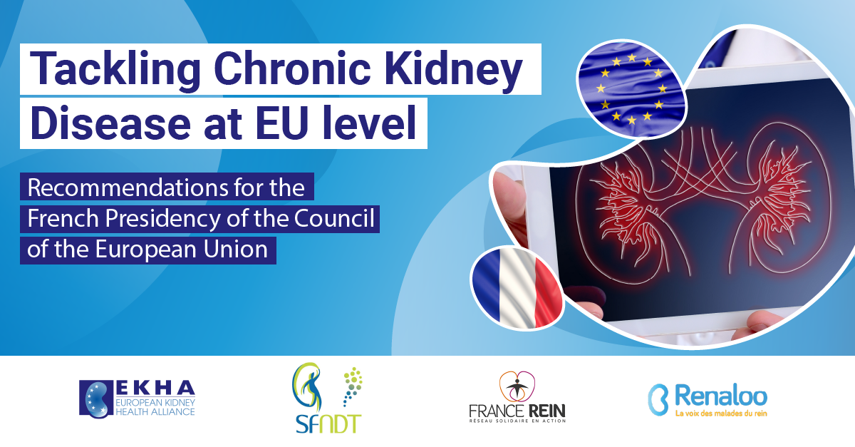 Tackling Chronic Kidney Disease at European level : Recommendations to the EU French Presidency ...